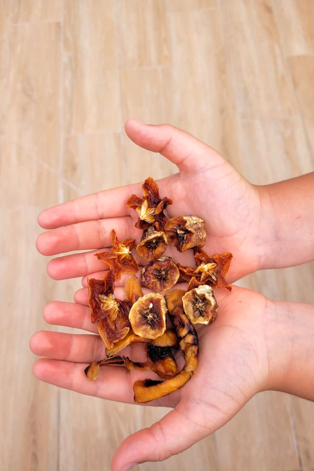 Gourmets La Calabacera