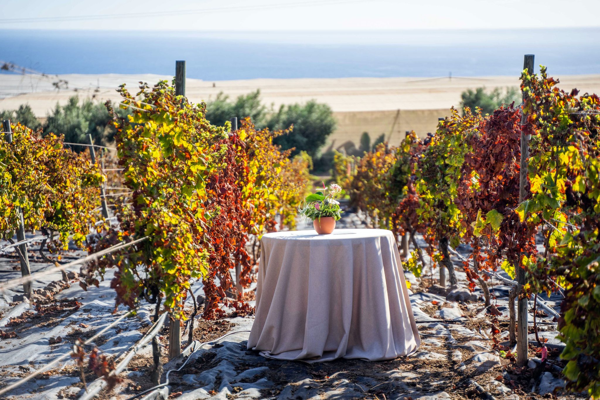 Gourmets La Calabacera